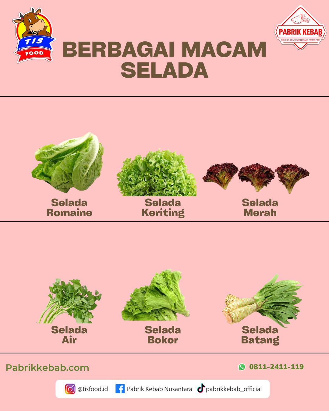Berbagai macam selada yang umum di indonesia - Pabrik Kebab